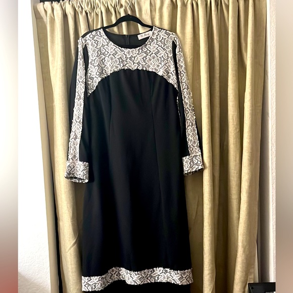 Yi Thang | Dresses | Xxl Beautiful Sheer Over Dress In Black With White ...